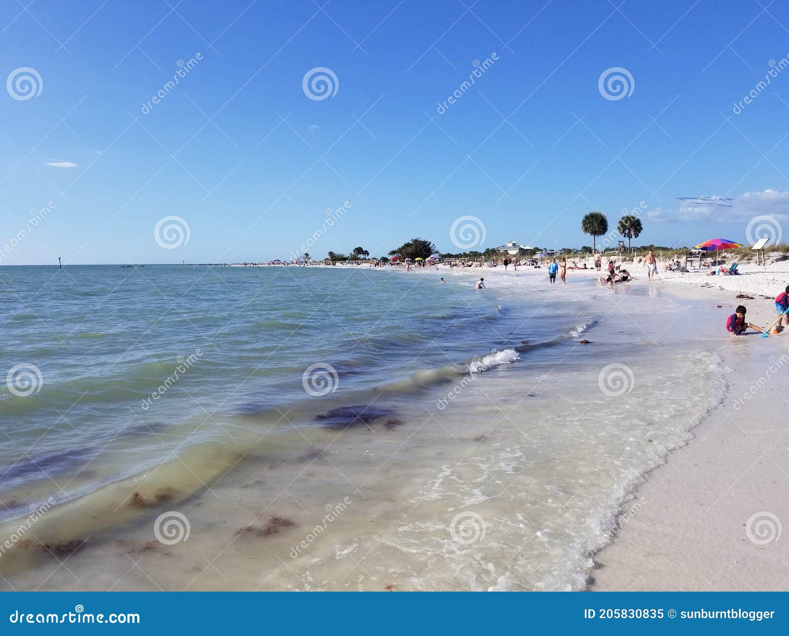 Crowded Beach Shoreline on a Nice Day in Florida Editorial Image ...