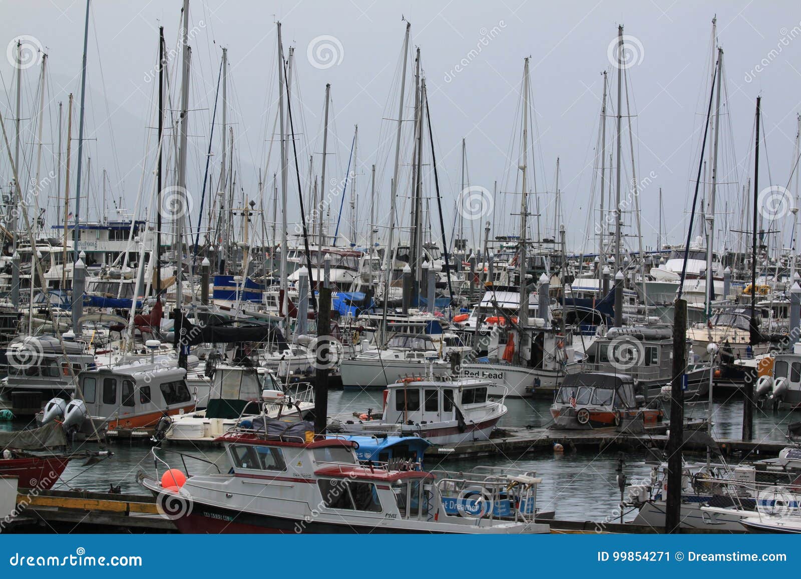 Crowded in the Harbor editorial photo. Image of harbor - 99854271