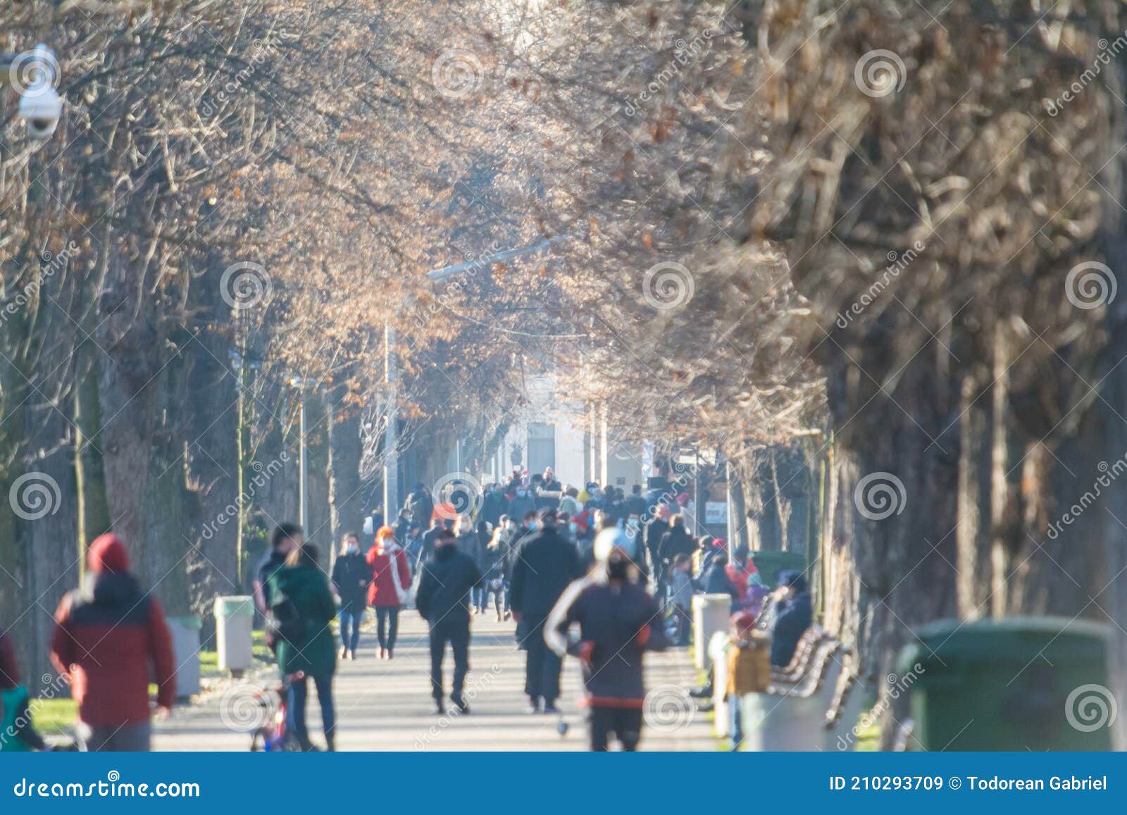 Crowded Park during the Pandemic Covid 19 Editorial Stock Image - Image ...