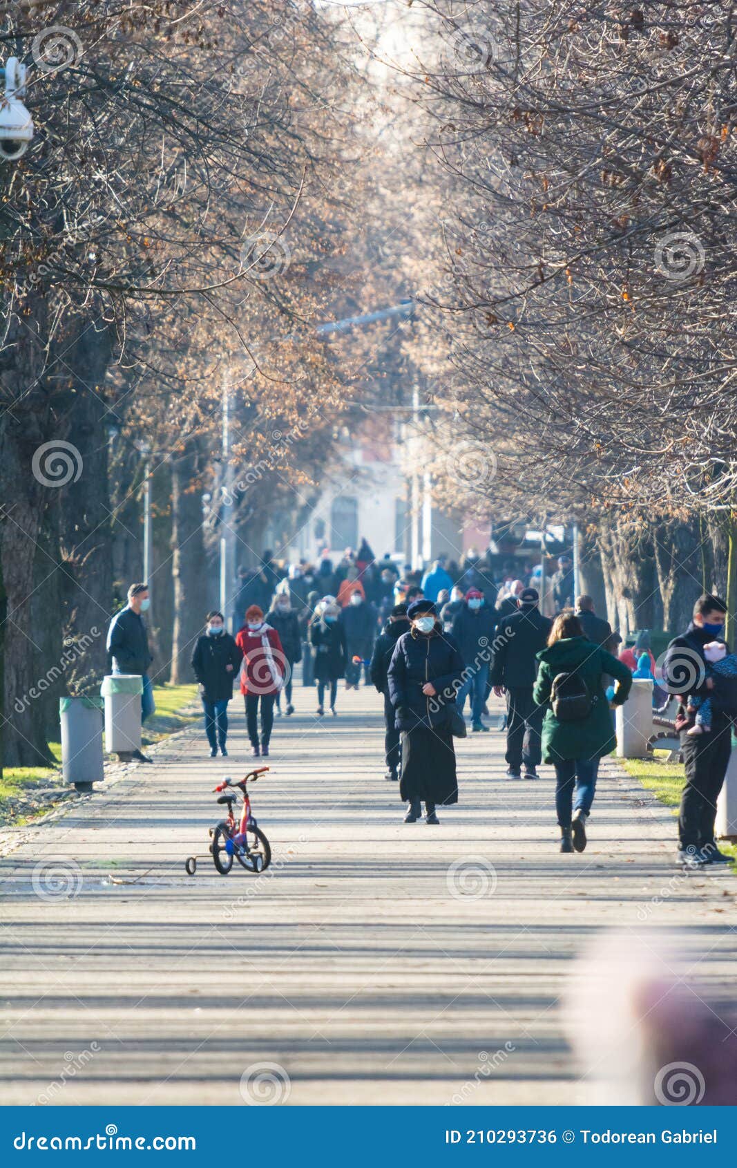 Crowded Park during the Pandemic Covid 19 Editorial Photo - Image of ...
