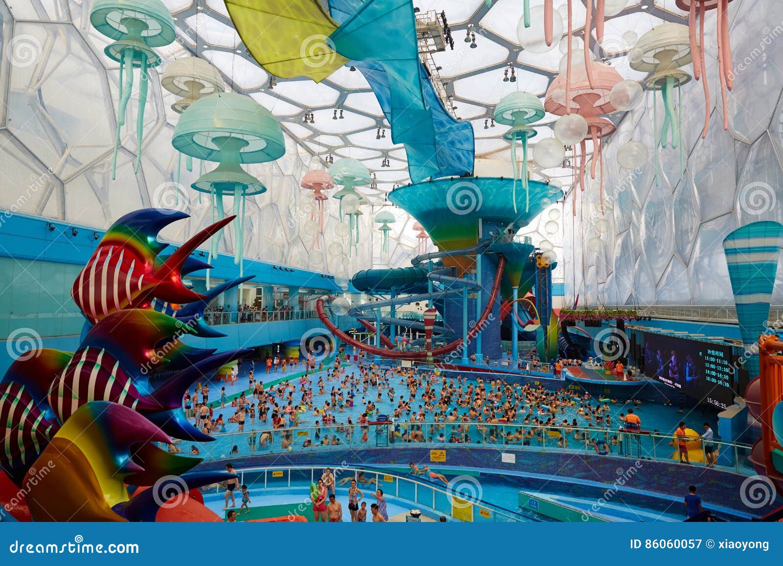 The Water Cube Editorial Image | CartoonDealer.com #43595648