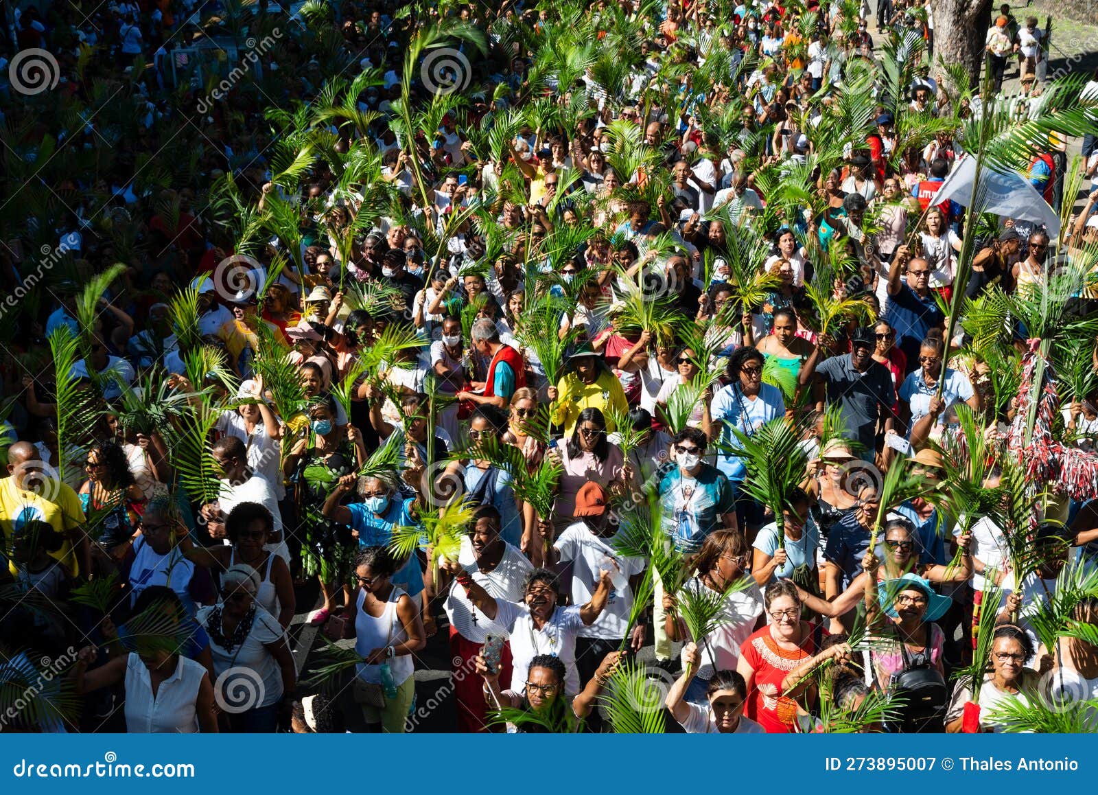 Crowds of Catholic Worshipers Wave Palm Branches during the Palm Sunday ...
