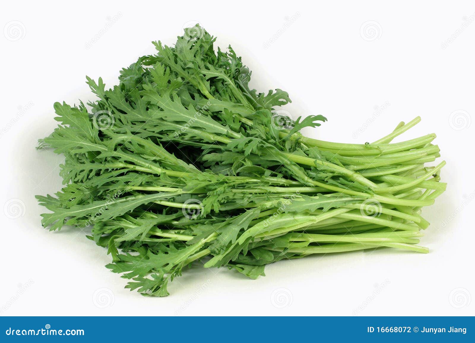 Crown daisy stock photo. Image of crowndaisy, food, ingredient - 16668072