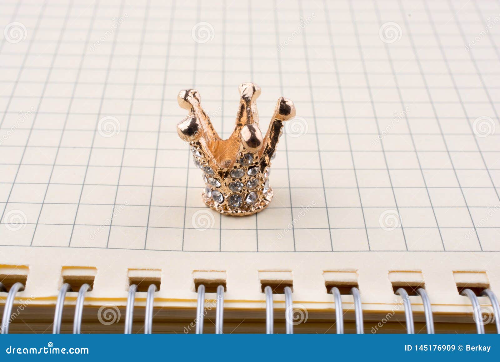 Crown with a notebook stock image. Image of message - 145176909