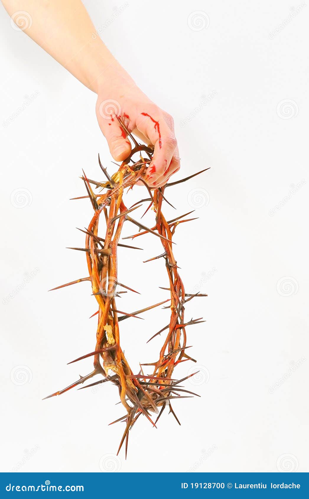 Crown of Thorns and Hands Isolated Stock Photo - Image of antique ...