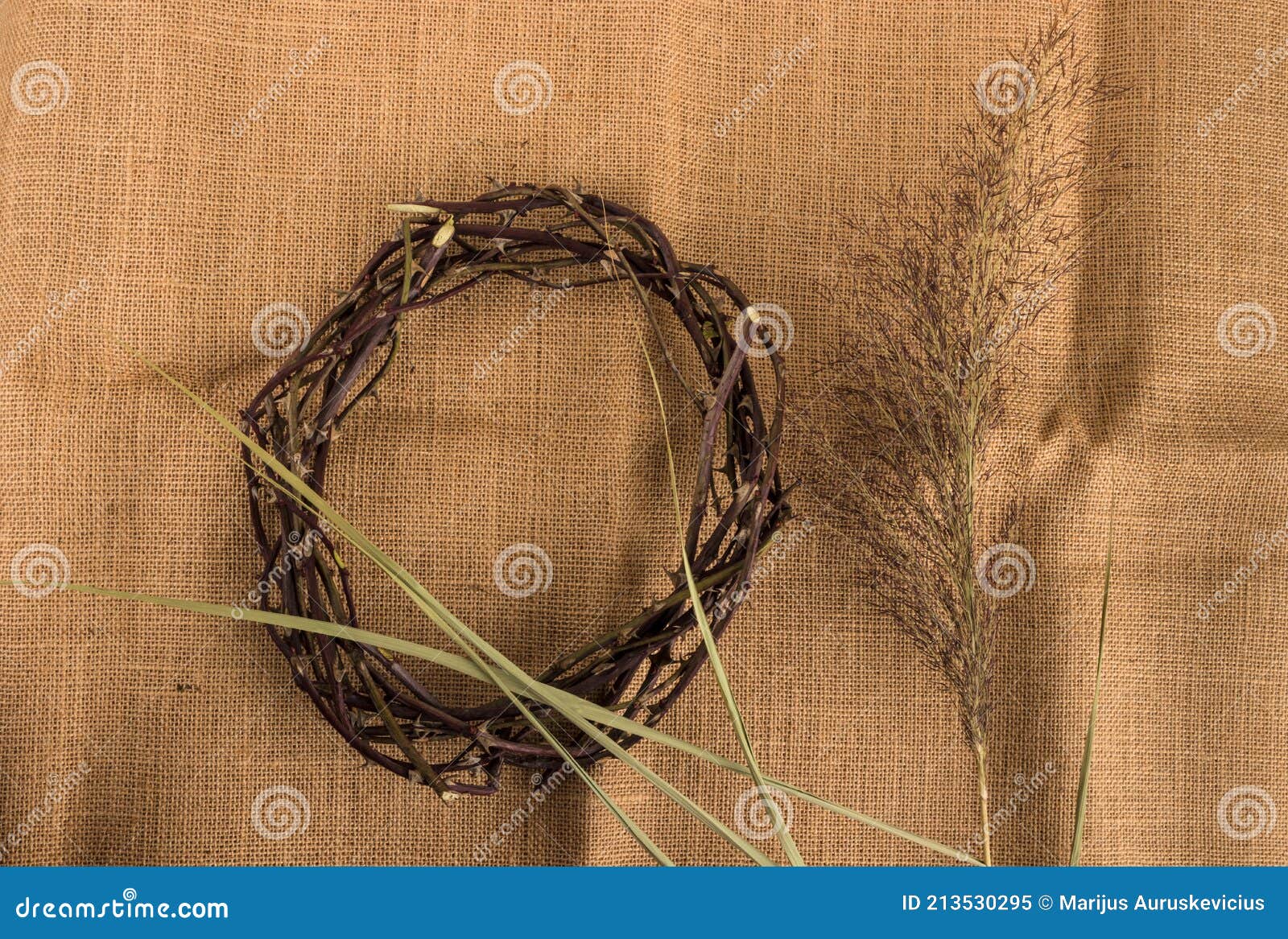 Crown of Thorns and Reed on Brown Textile Background Stock Image ...