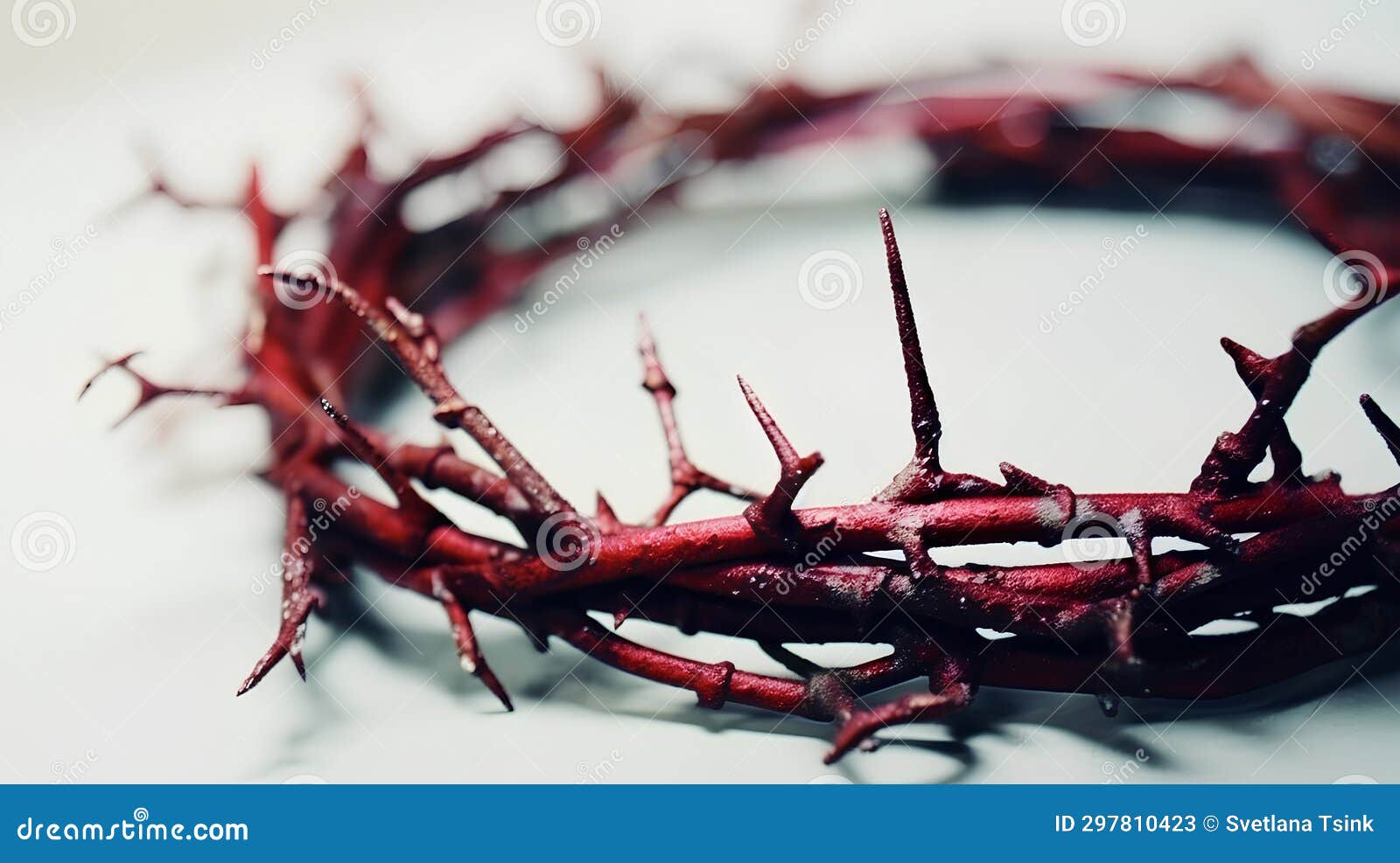 Crown of Thorns on a White Background, Easter Concept. Stock Image ...
