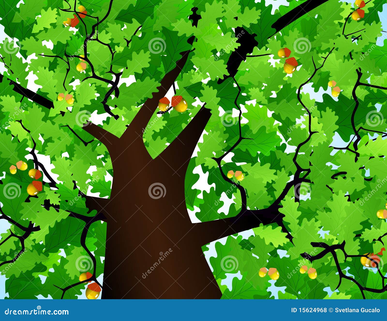 Crown of a tree stock vector. Illustration of high, crown - 15624968