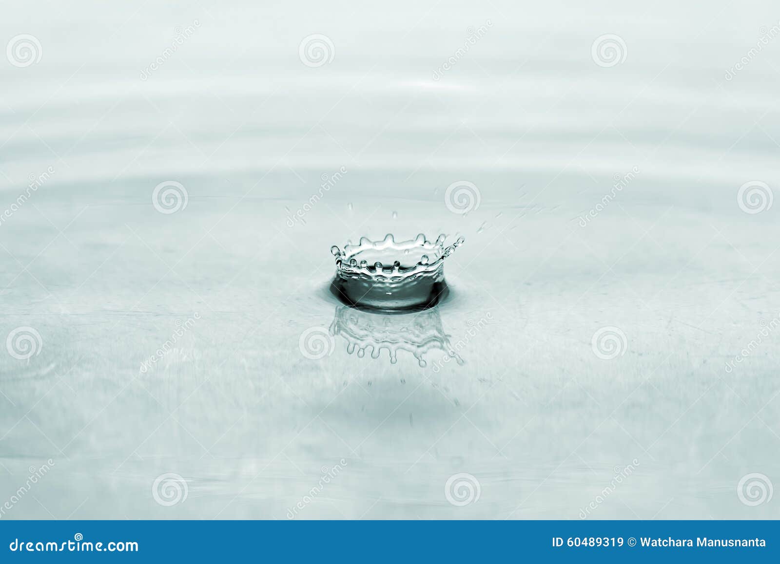 Crown water splash stock image. Image of spray, blue - 60489319