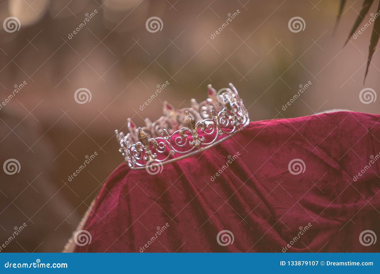 Crown Y El Traje Del Rey Abandonado Imagen de archivo - Imagen de real ...