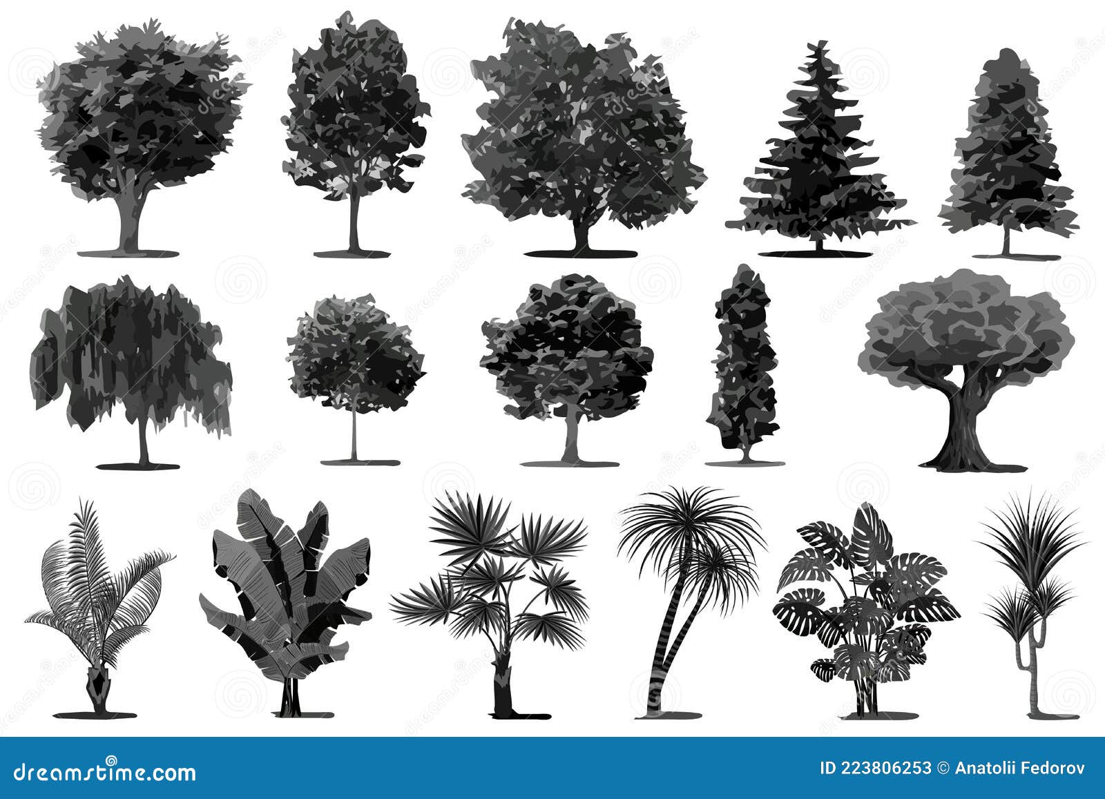 Crowns of Different Trees in the Set. Stock Vector - Illustration of ...