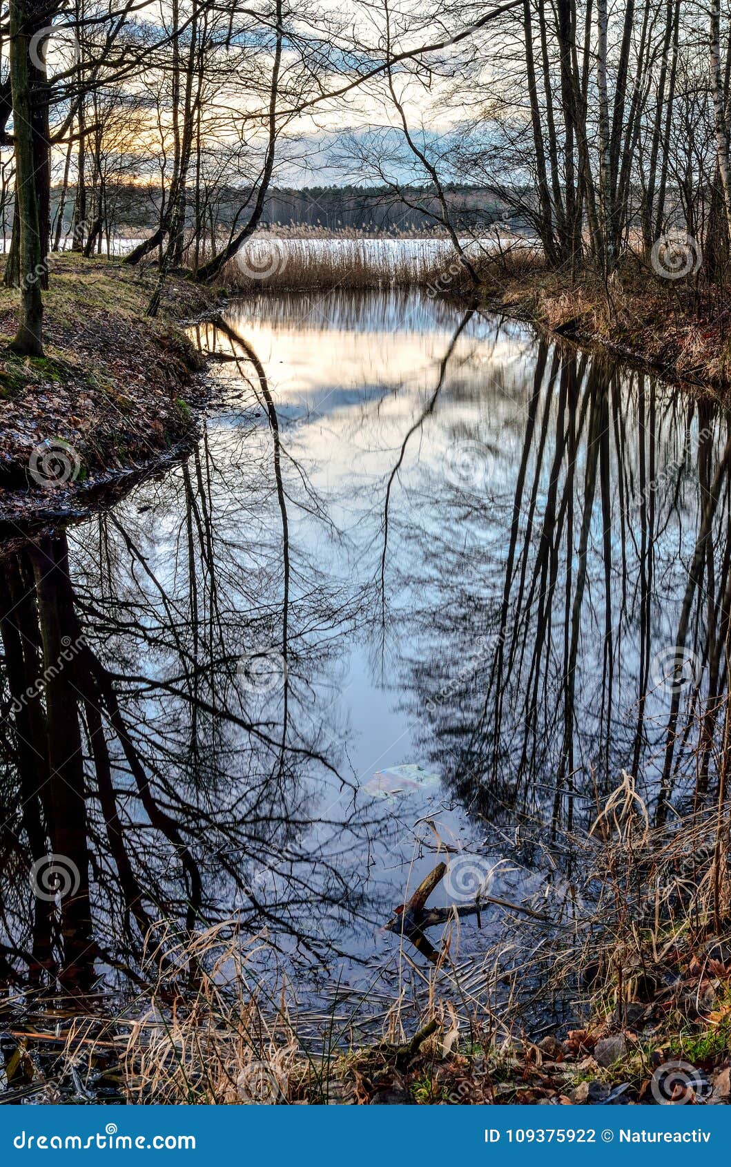 Beautiful water landscape. stock photo. Image of calm - 109375922