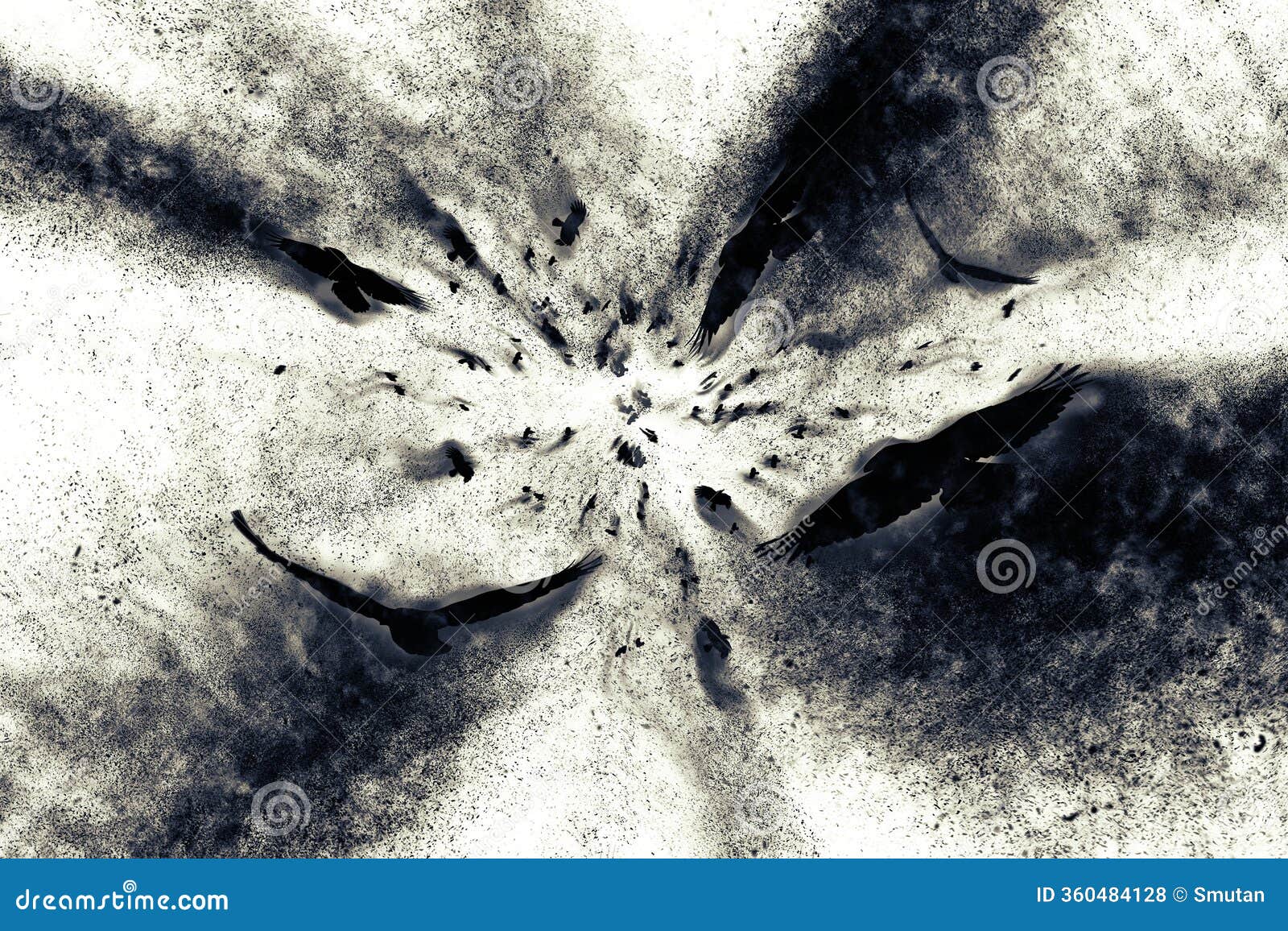 Crows. Abstract Artistic Nature. Dispersion, Splatter Effect. White ...