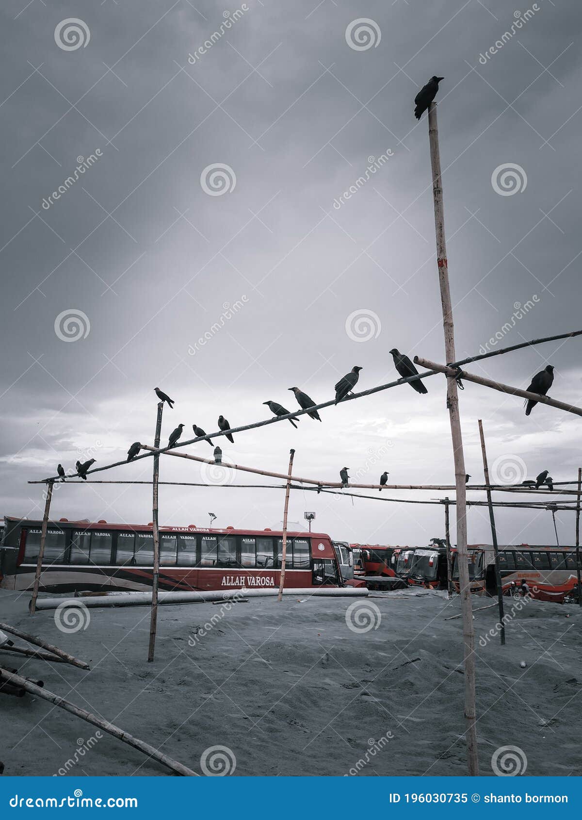 X28 Mini Cox Stock Photos - Free & Royalty-Free Stock Photos from ...