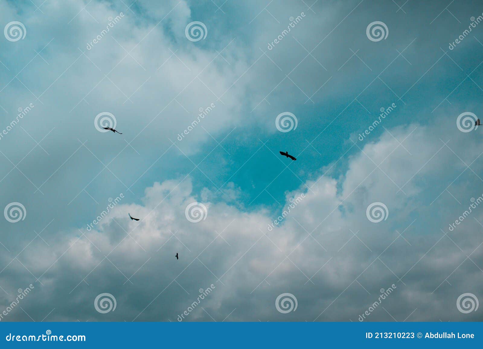 Crows in the Blue Cloudy Sky Stock Image - Image of nature, wave: 213210223
