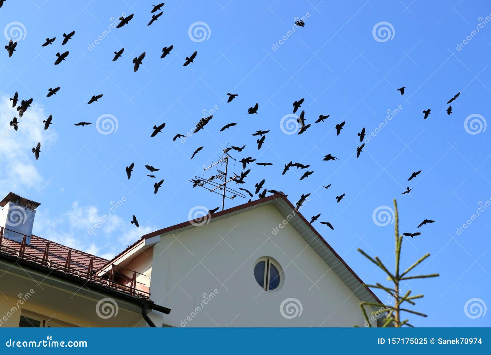 Crows are Circling Around the House Stock Image - Image of ancient ...