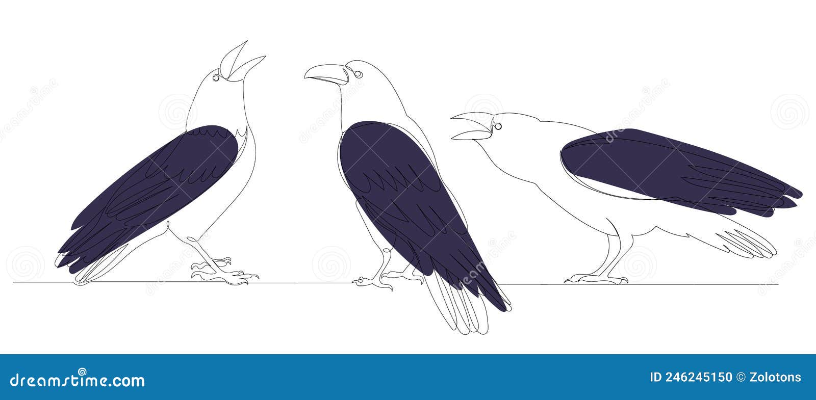 Crows Continuous Line Drawing, Sketch Stock Vector - Illustration of ...