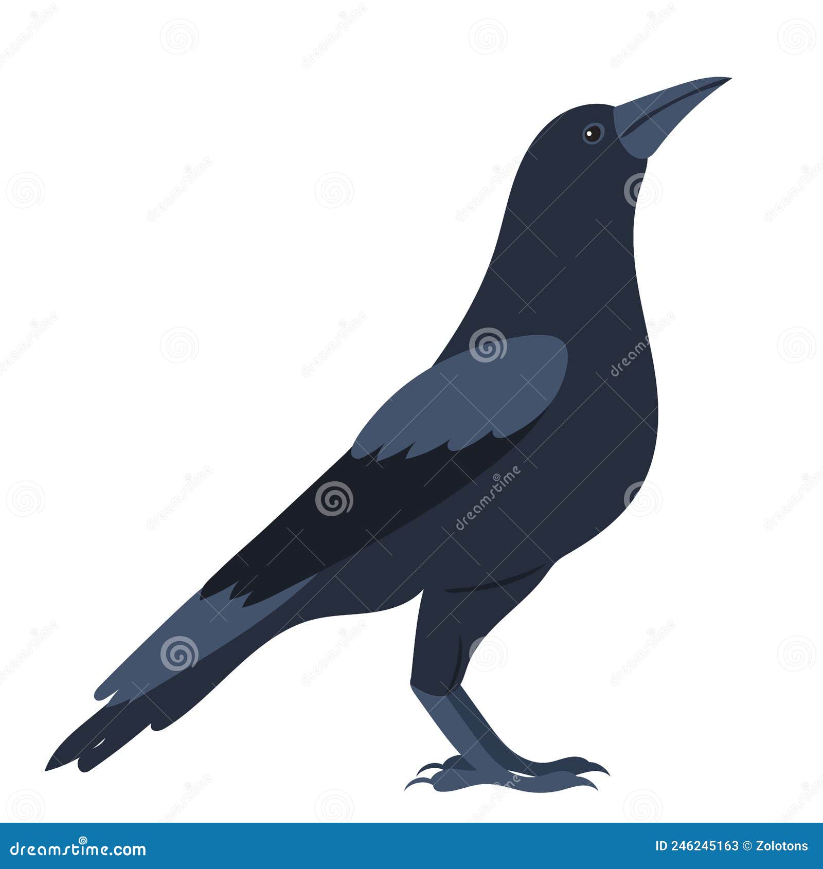 Set Of Crows Flat Design , Isolated On White Background Royalty-Free ...