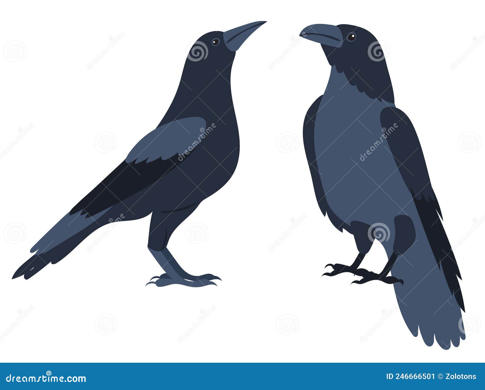 Set Of Crows Flat Design , Isolated On White Background Royalty-Free ...