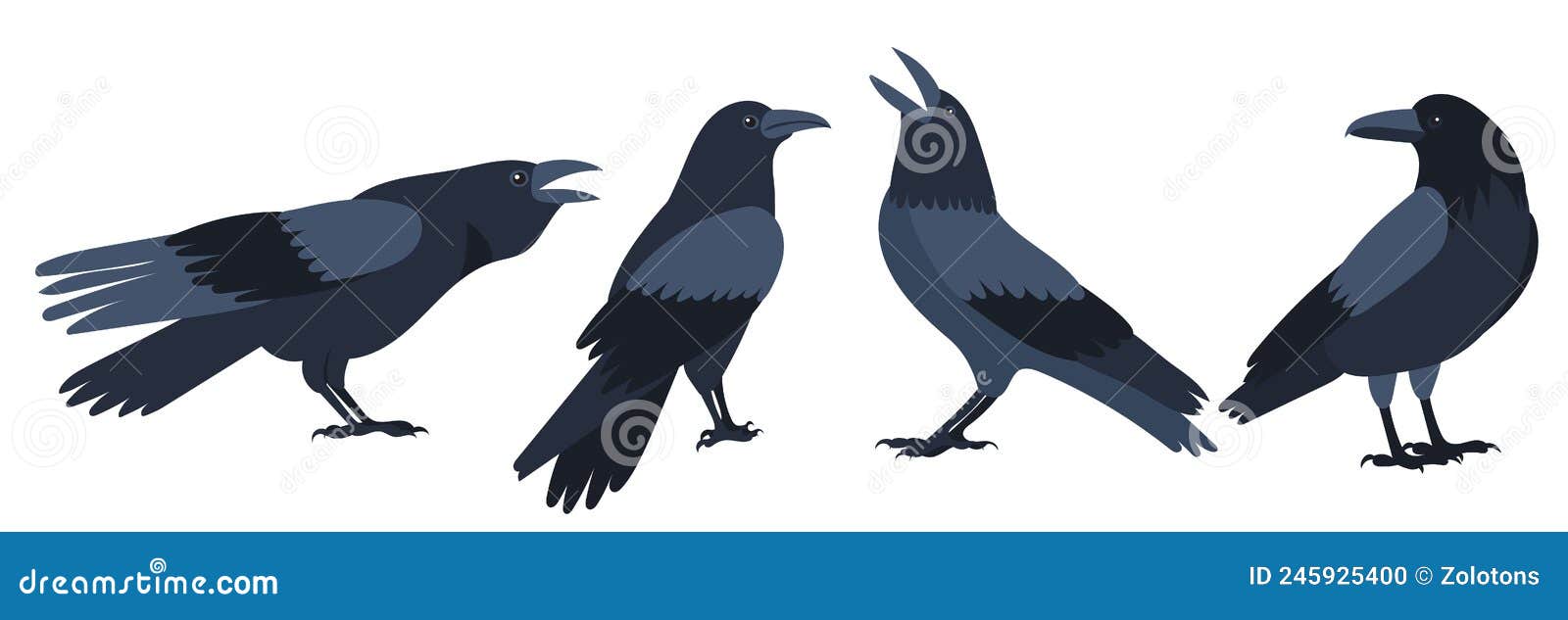 Set Of Crows Flat Design , Isolated On White Background Royalty-Free ...