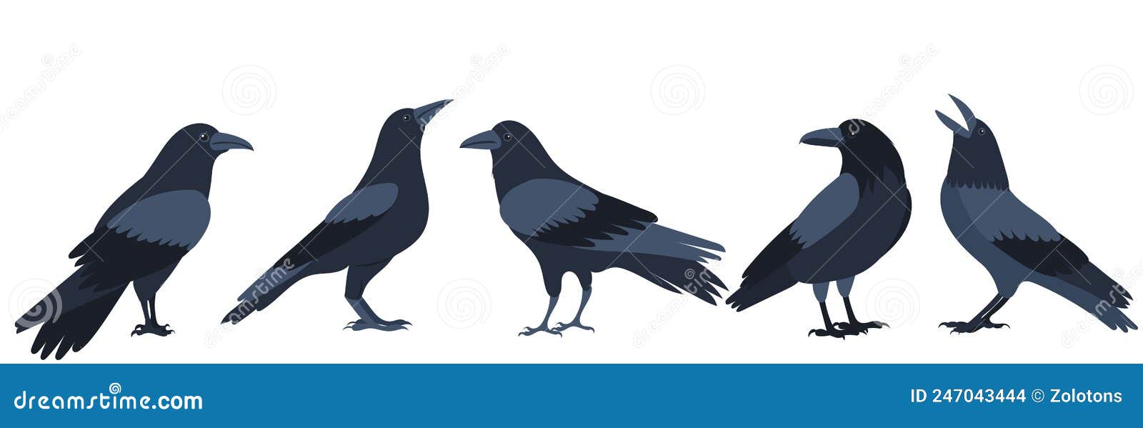 Set Of Crows Flat Design , Isolated On White Background Royalty-Free ...