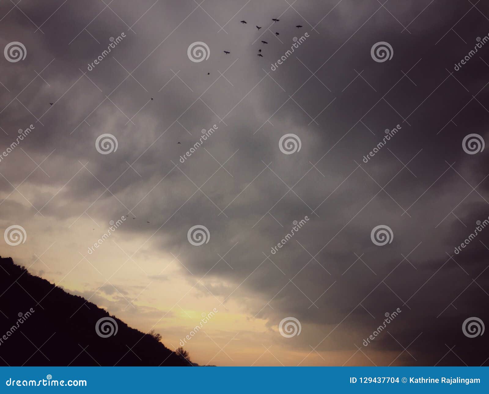 Crows flying stock photo. Image of flying, high, crows - 129437704