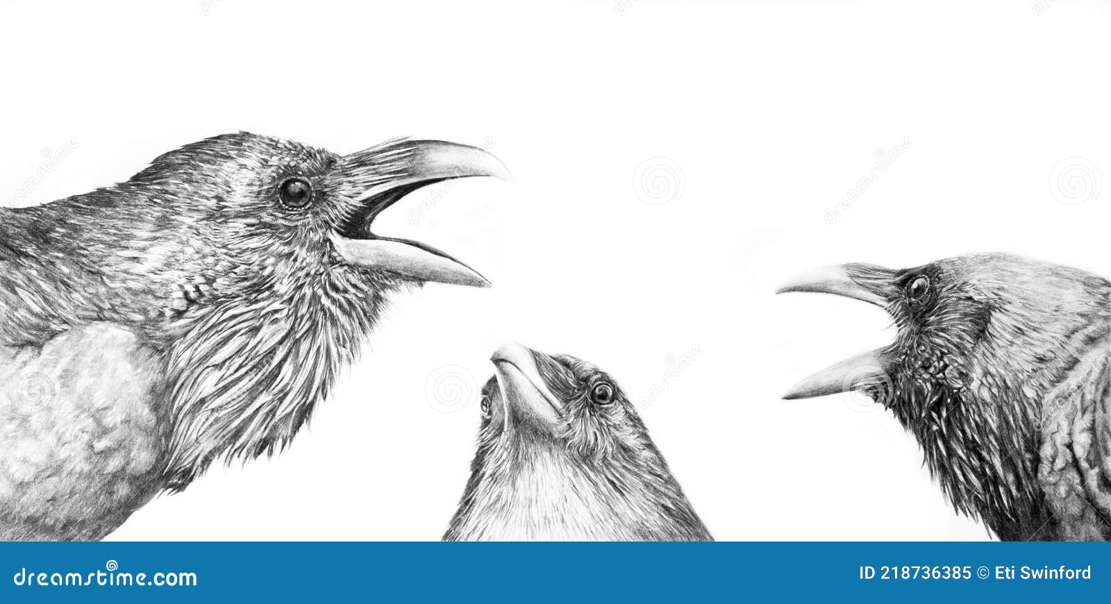 Crows Gathered Having a Conversation Stock Image - Image of cawing ...