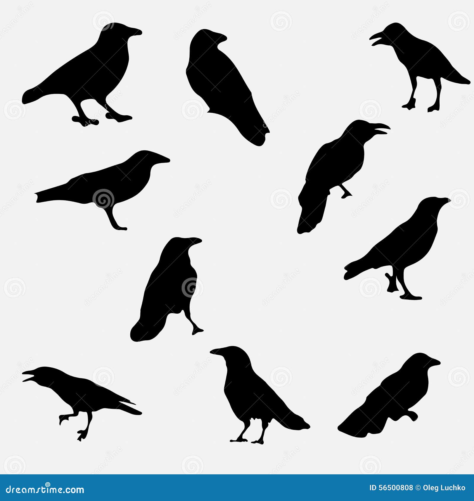 Two Crows Cartoon Vector | CartoonDealer.com #16760491