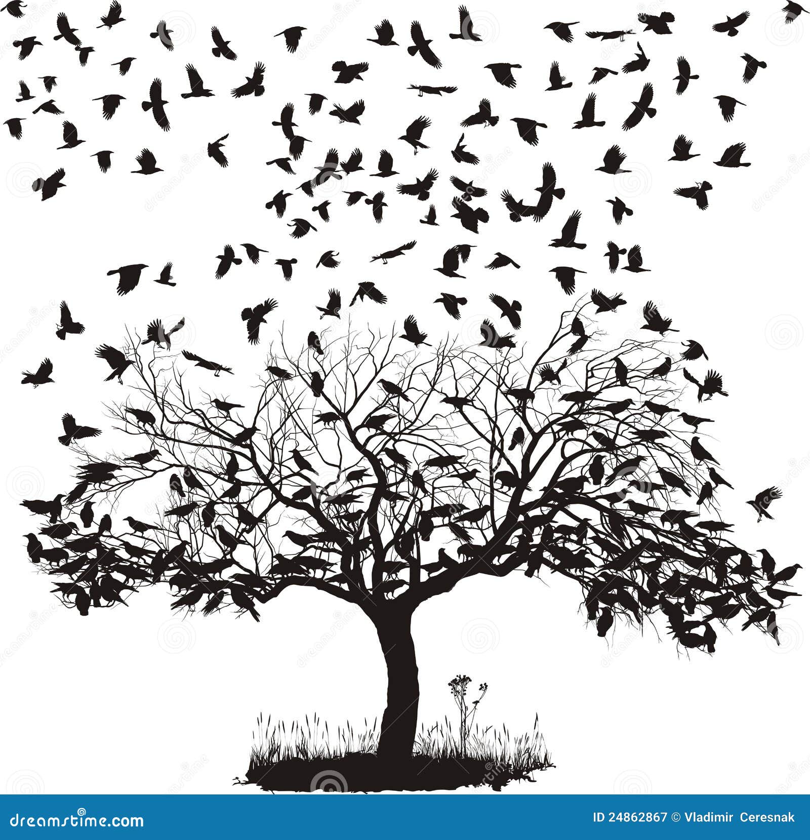 Two Crows Cartoon Vector | CartoonDealer.com #16760491