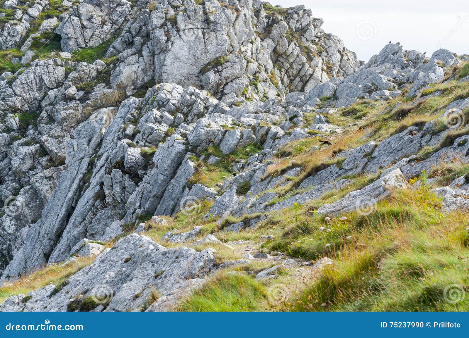 Crozon Peninsula in Brittany Stock Photo - Image of nature, natural ...