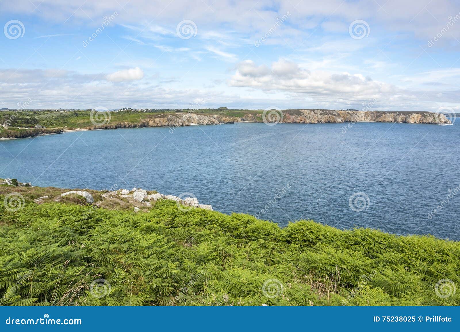 Crozon Peninsula in Brittany Stock Image - Image of landscape, natural ...