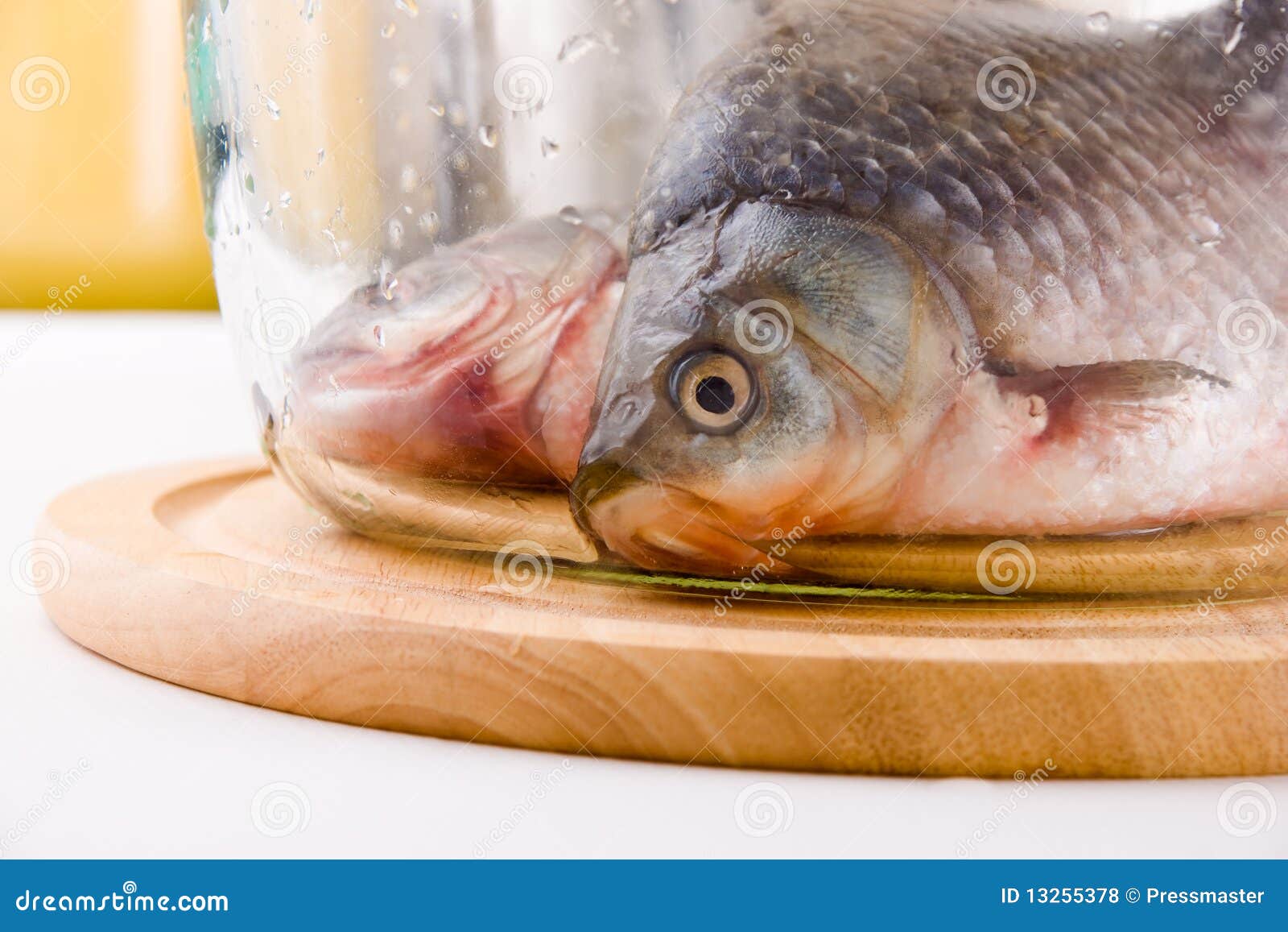 Crucian carp fish stock photo. Image of head, fillet - 13255378