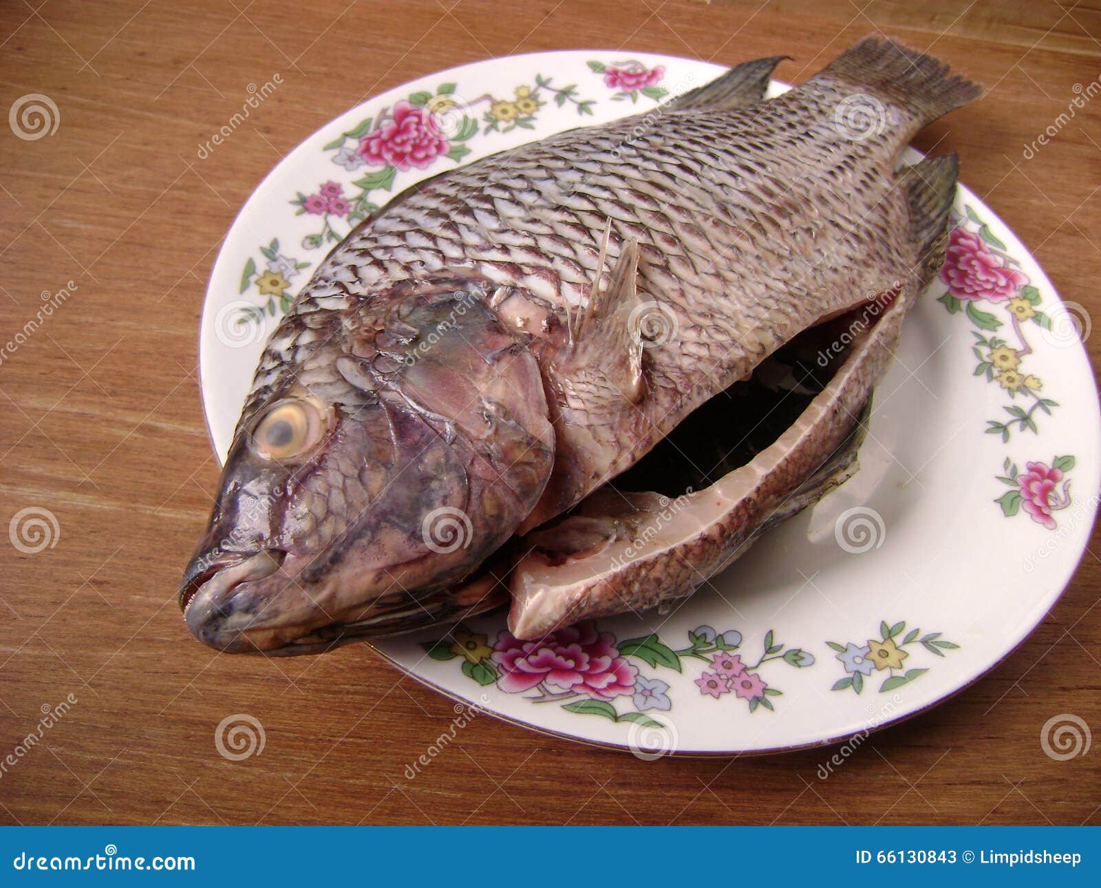 Crucian fish for cooking stock image. Image of crucian - 66130843