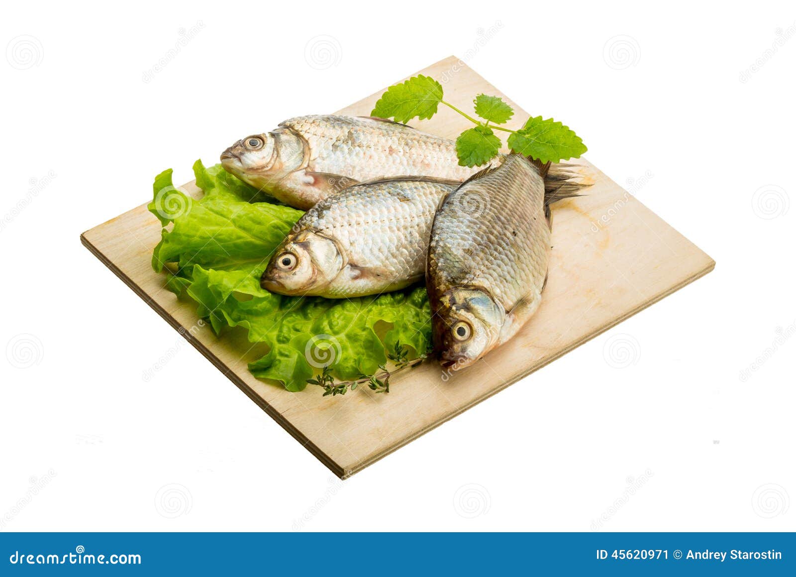 Crucian fish stock image. Image of gourmet, carp, crucian - 45620971