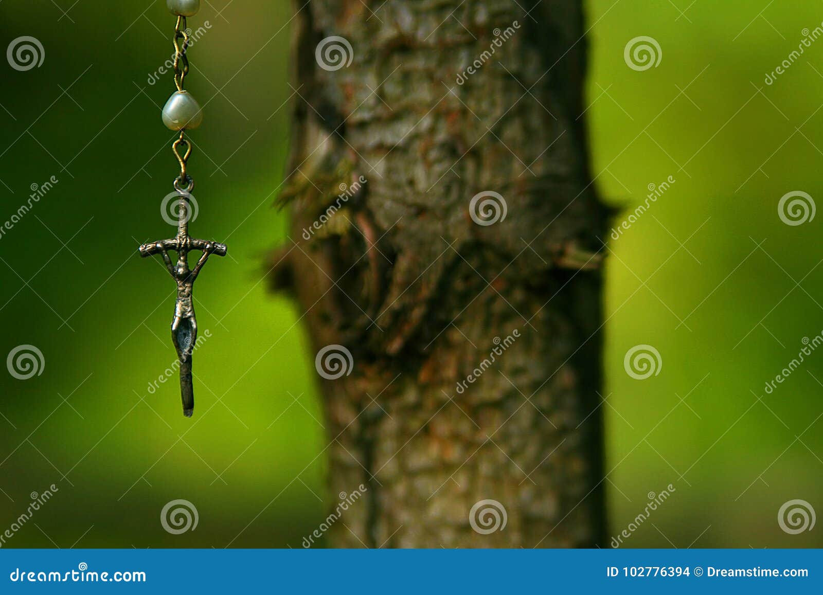 Crucifix hanging on a tree stock photo. Image of catholic - 102776394