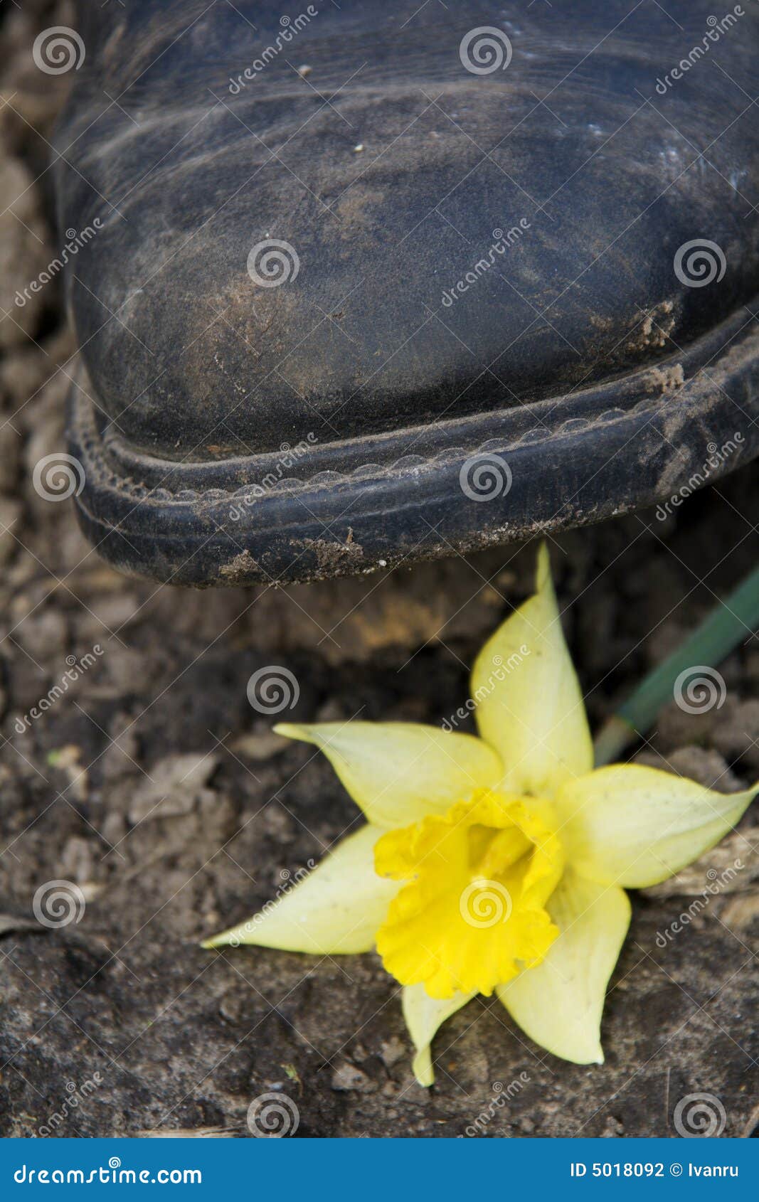 55,345 Fragile Object Photos - Free & Royalty-Free Stock Photos from ...