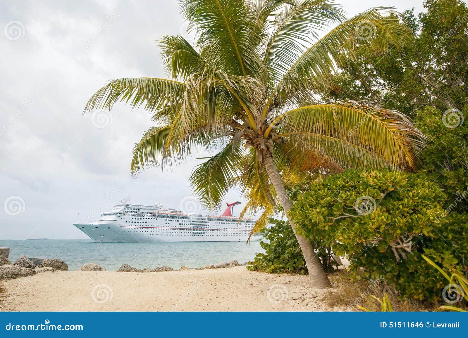 Cruise Ship by the Beach with Palm Trees Stock Photo - Image of ...