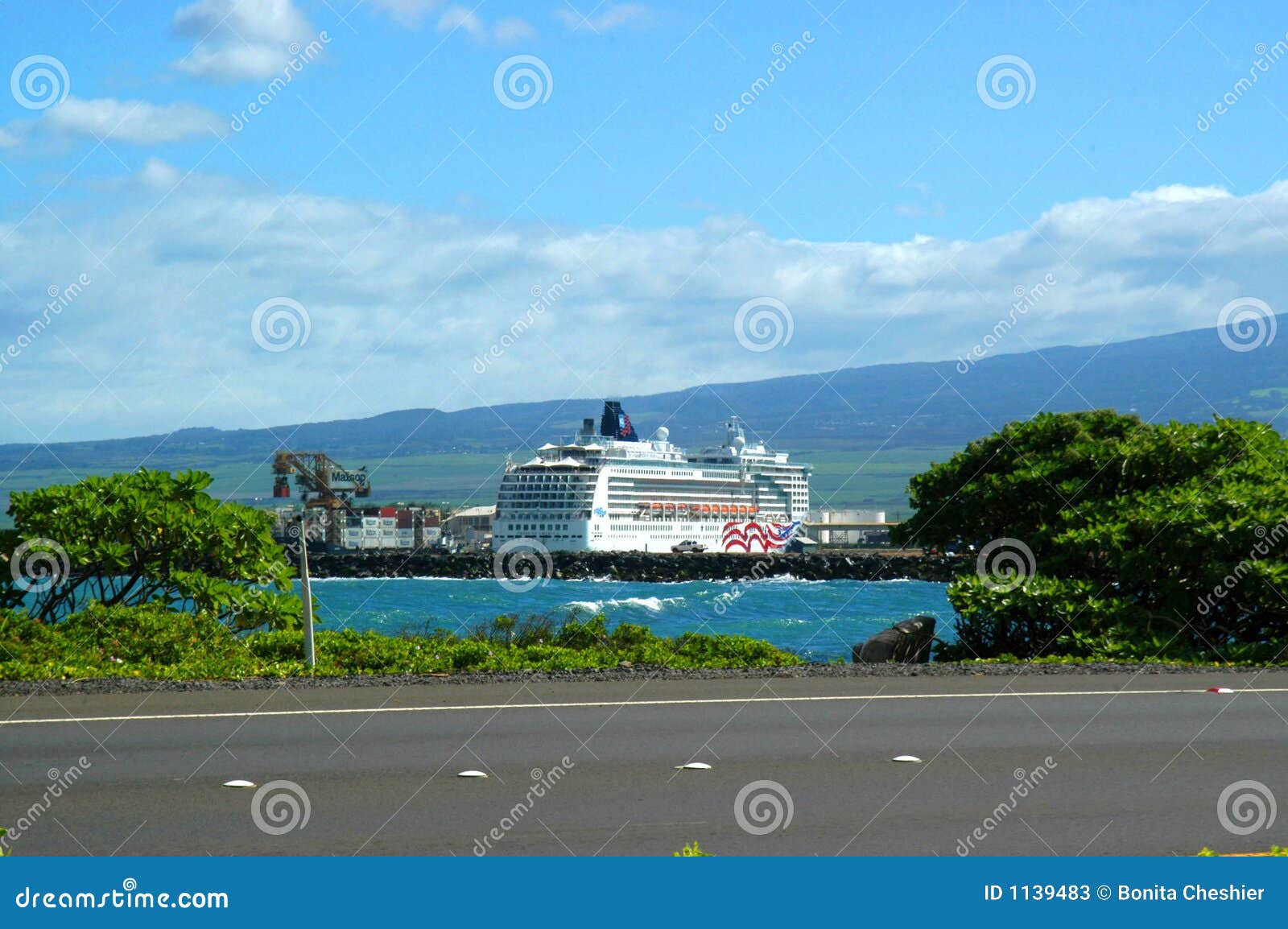 Cruise Ship at Port of Call Stock Image - Image of dock, ocean: 1139483
