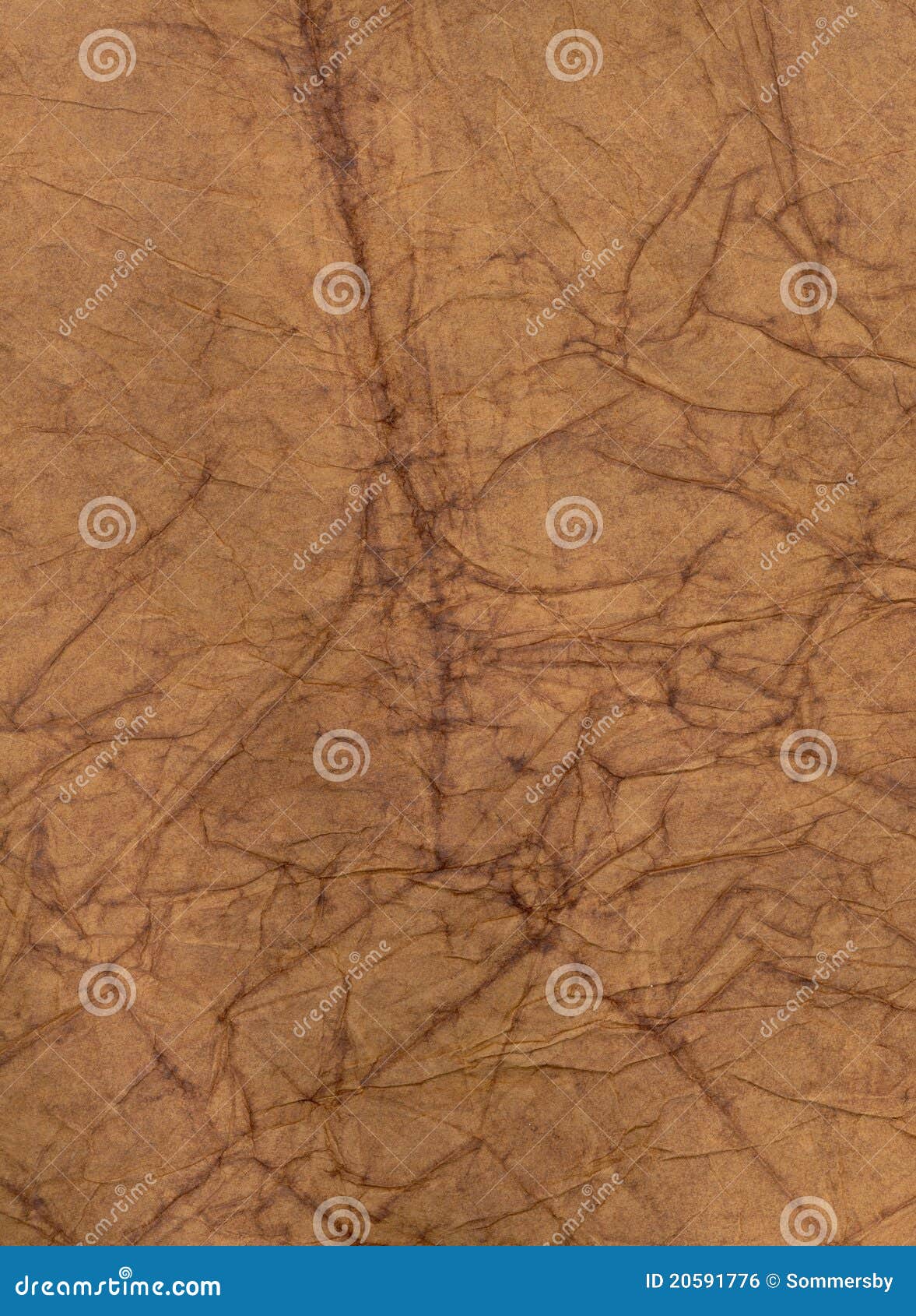 Crumbled Textured Paper stock photo. Image of document - 20591776