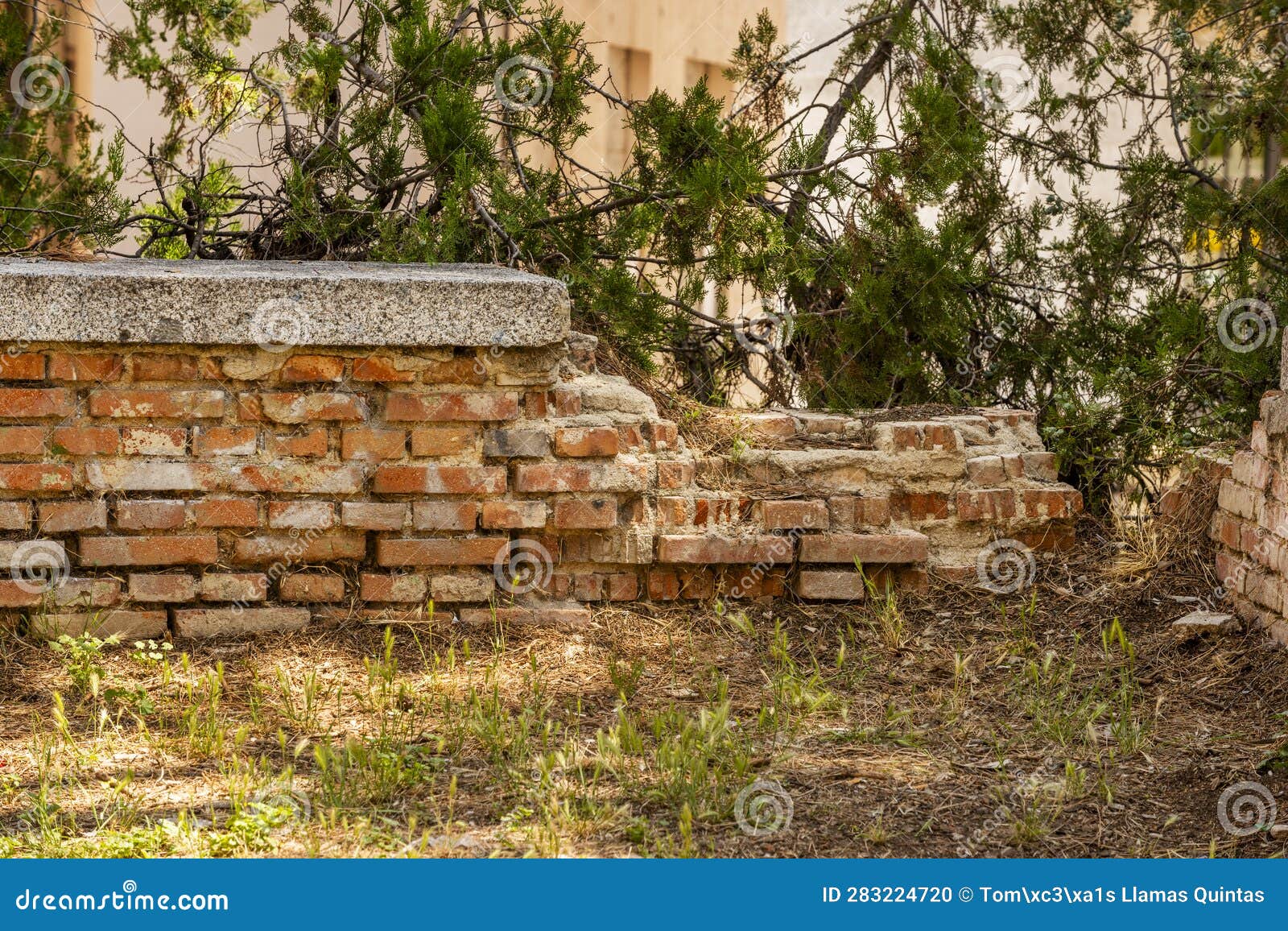 A Crumbling Brick Wall in a Corner Stock Photo - Image of real ...
