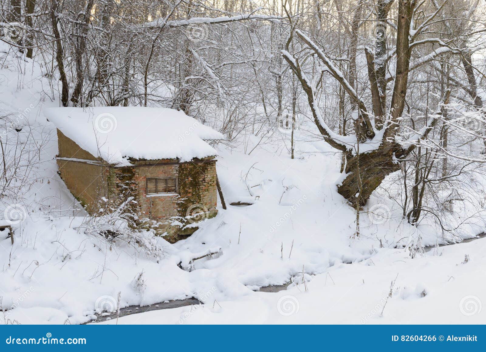 Crumbling Cabin in a Winter Forest Stock Photo - Image of european ...