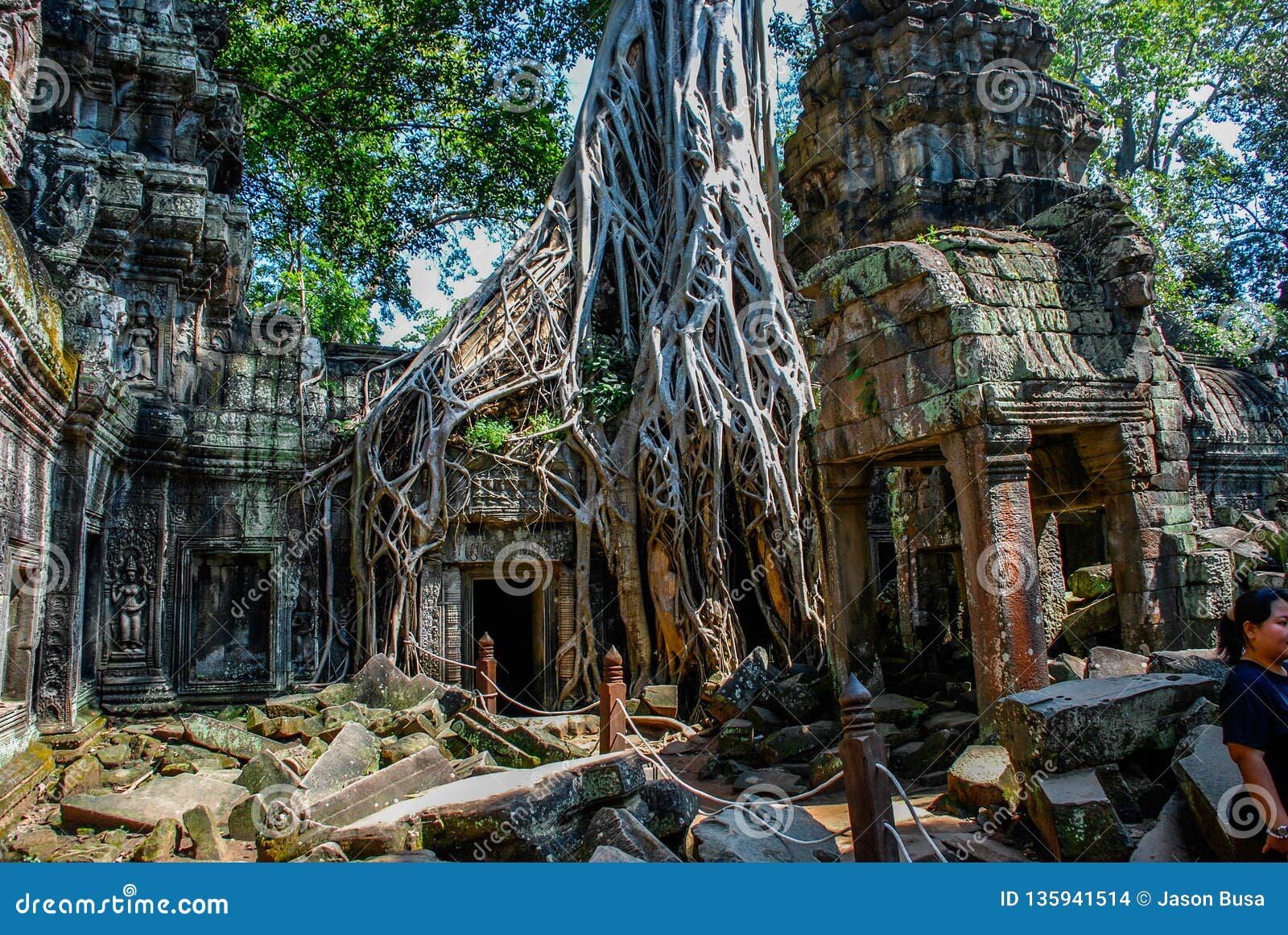 Crumbling Temple Buildings Enveloped in Tree Roots in Angkor Wat Stock ...