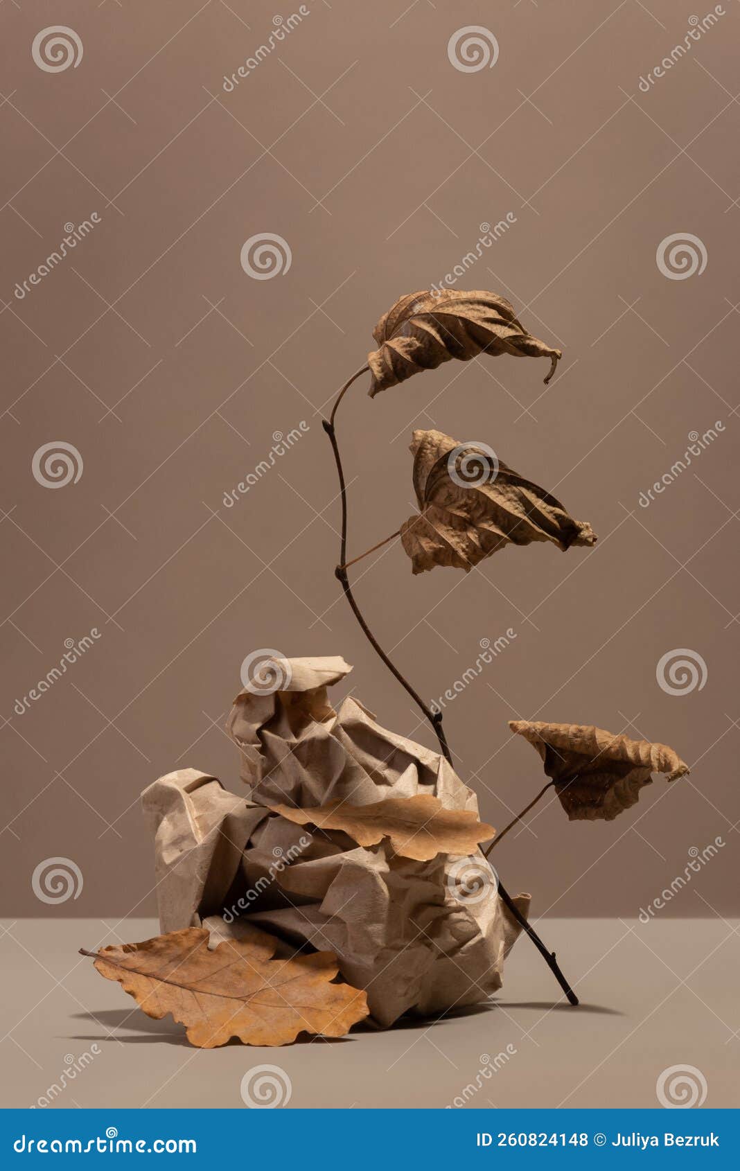 Crumpled Paper with Dry Leaves Stock Photo - Image of nature, recycling ...