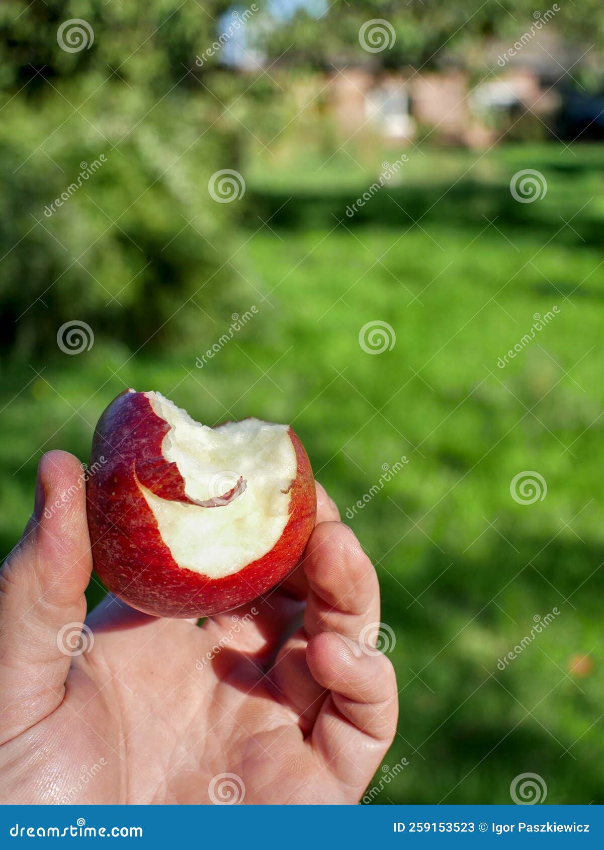 Crunched Apple in a Man S Hand Stock Image - Image of eaten, care ...