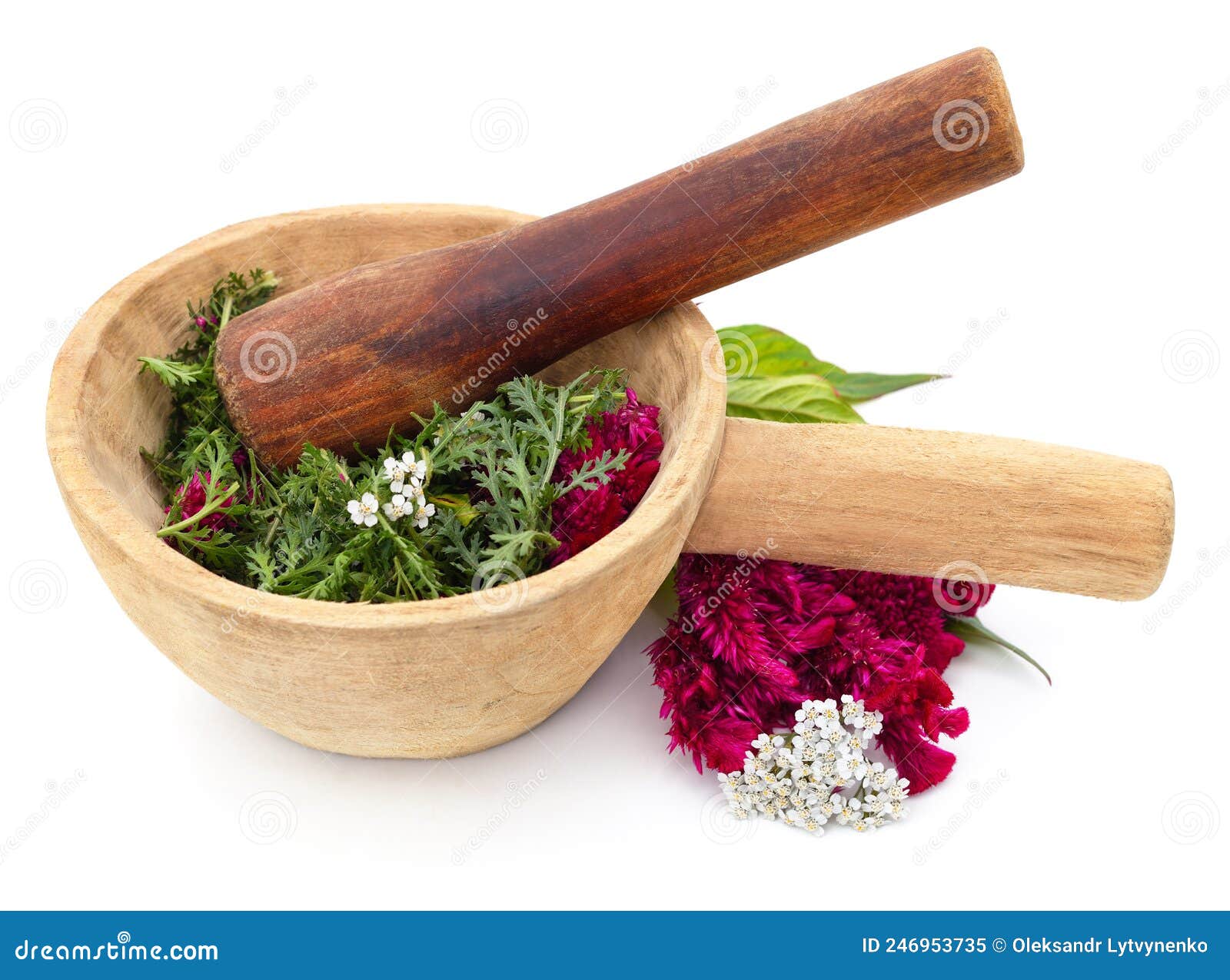 Crushed Amaranth and Yarrow Stock Image - Image of amaranth ...