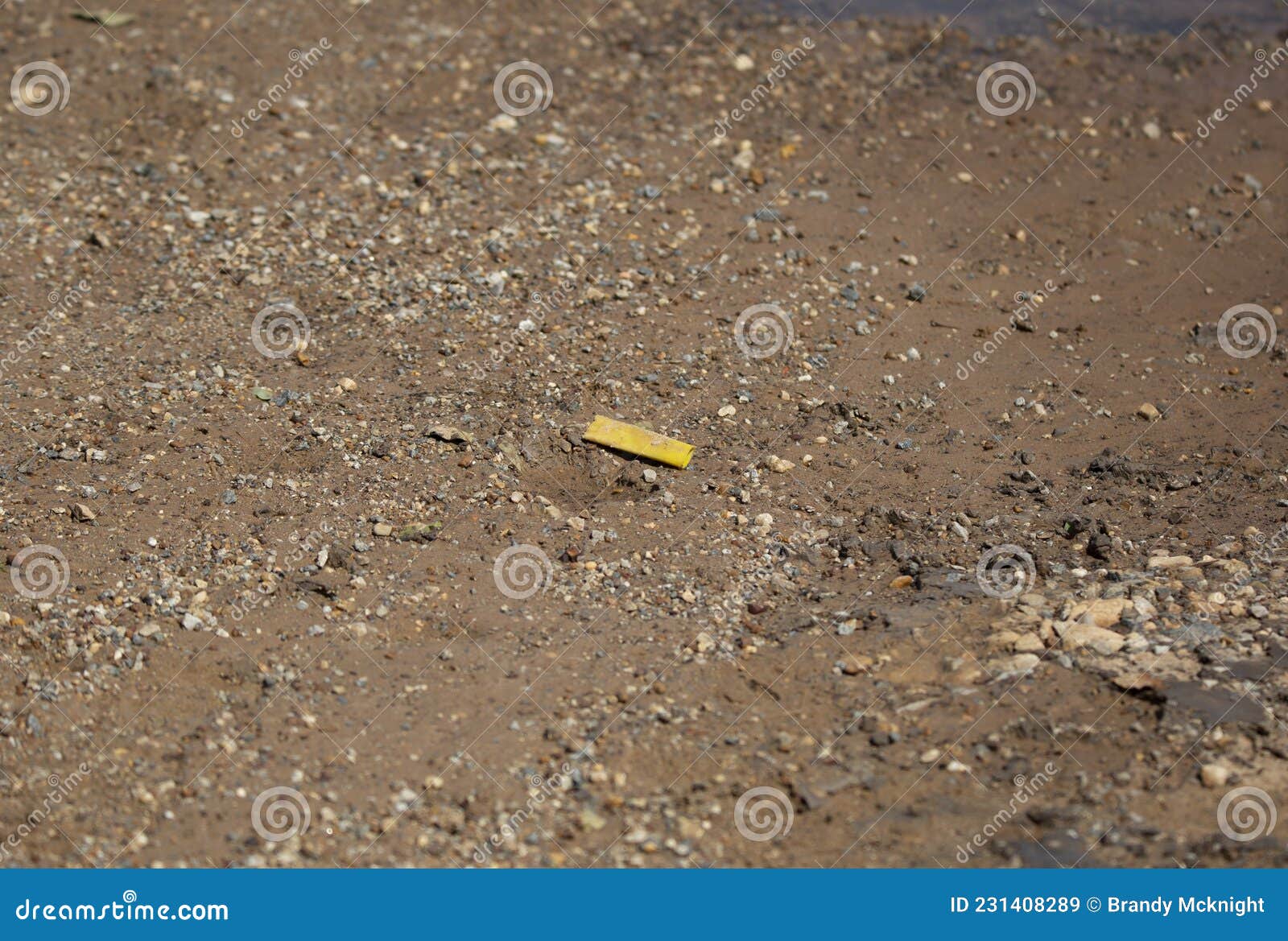 Crushed Ammunition Shell stock image. Image of conservation - 231408289