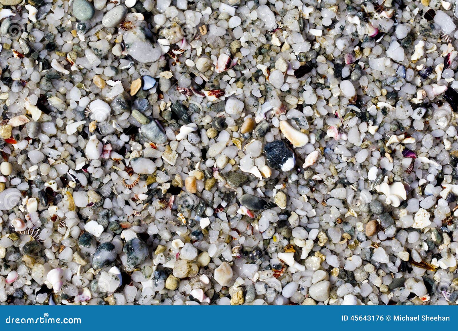 Crushed Beach Stones and Shells Stock Photo - Image of pattern, color ...