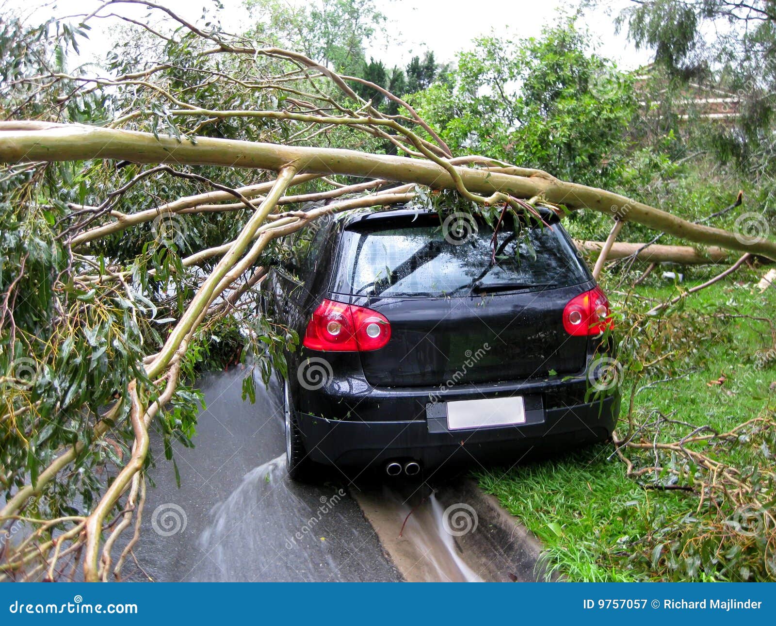 Crushed car rear view stock image. Image of road, crush - 9757057