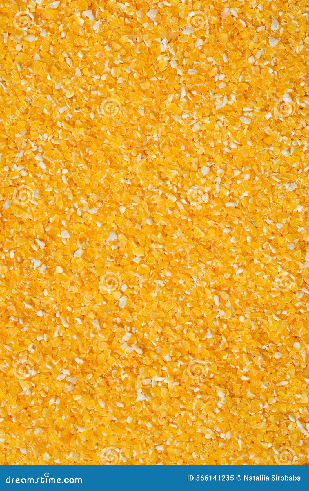 Corn Texture Royalty-Free Stock Photo | CartoonDealer.com #26292177
