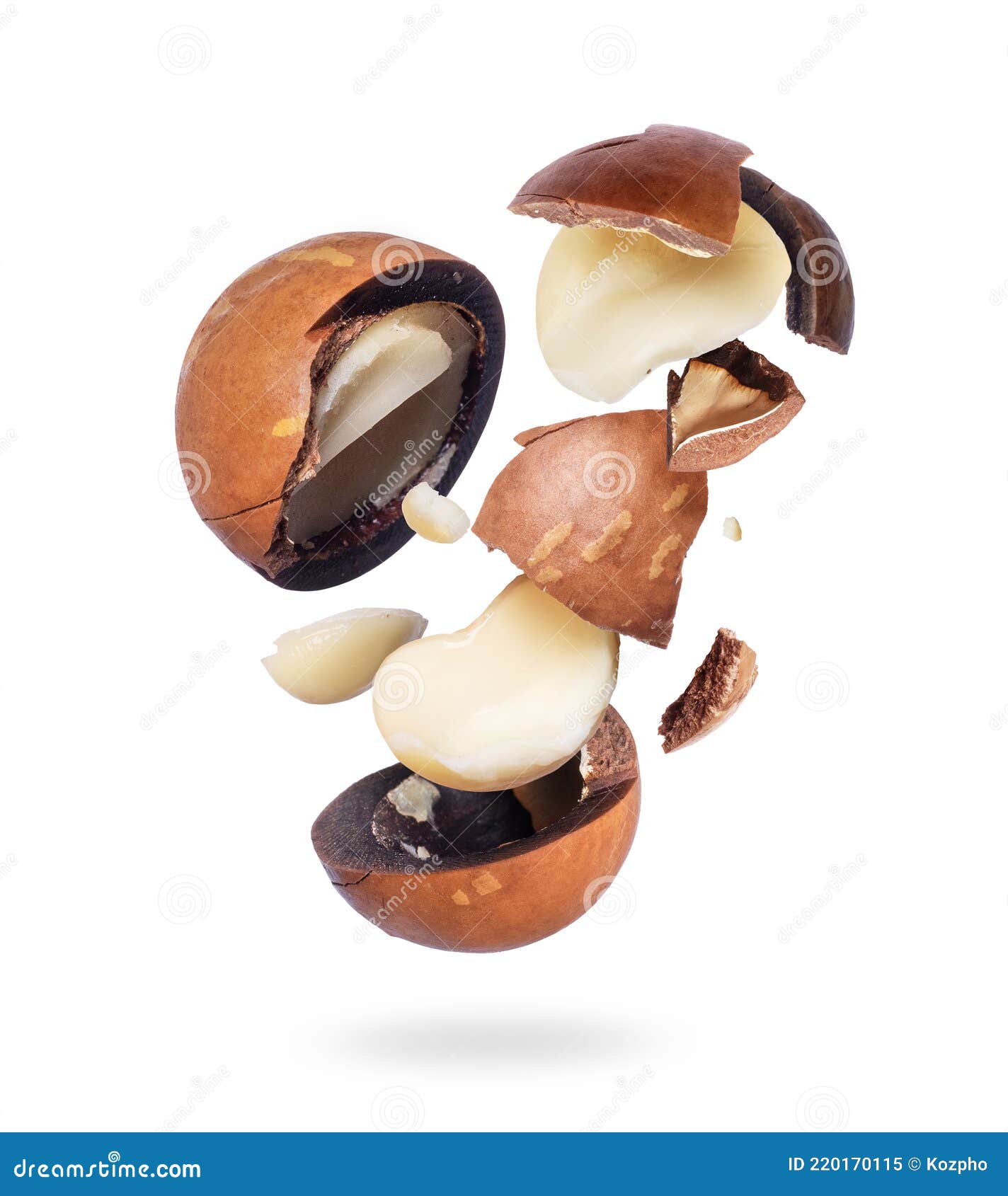 Crushed Macadamia Nuts Close Up in White Space Stock Image - Image of ...